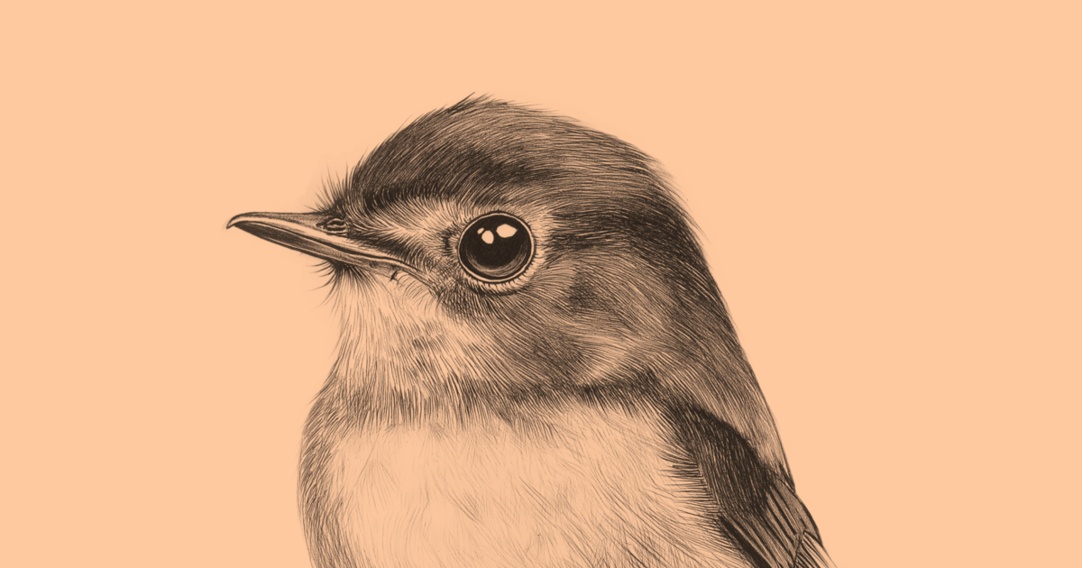 Stay Compliant and Simplify Side Letter Management with Specialist…