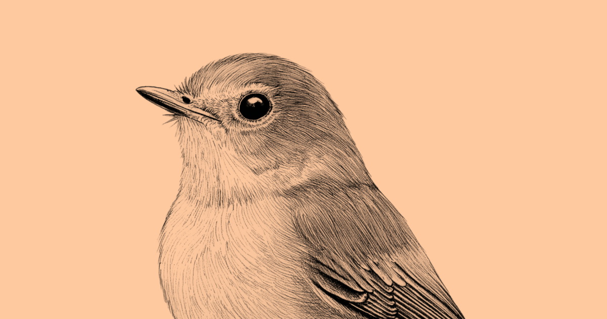 CEO of Robin AI, Richard Robinson, speaks to UKTN about Robin AI,…